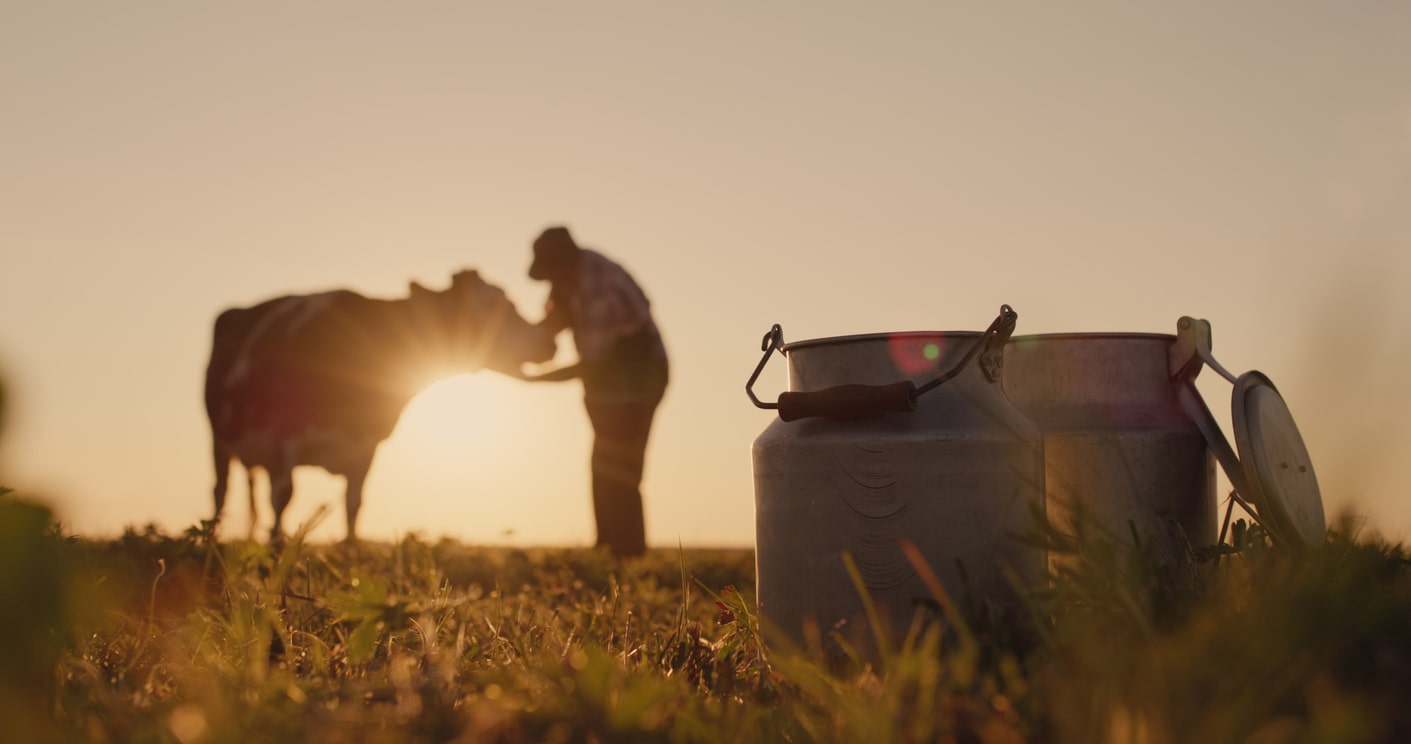 Kaulig Capital | Lone Star Beef Holdings